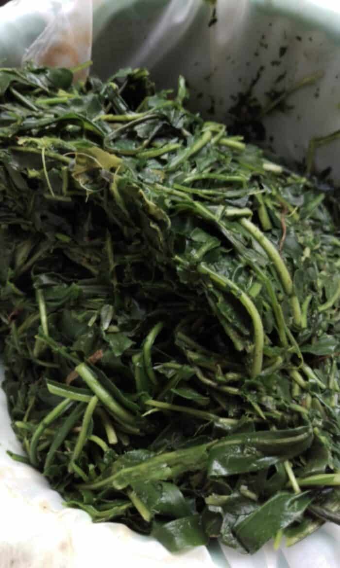 Natural Dyes – The History of Extraction of Beautiful Plant Pigments